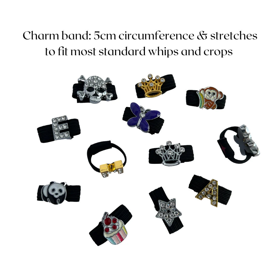 Crop, Braid and Saddle Cloth Charms