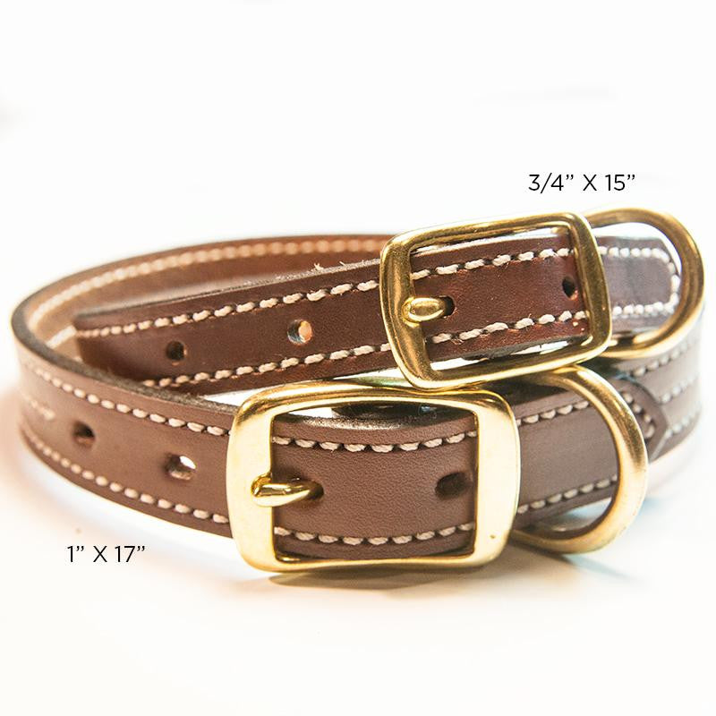 Bridle Dog Collar